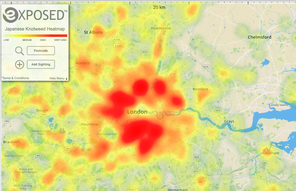 Online tracker launch informs professionals of Japanese knotweed risk